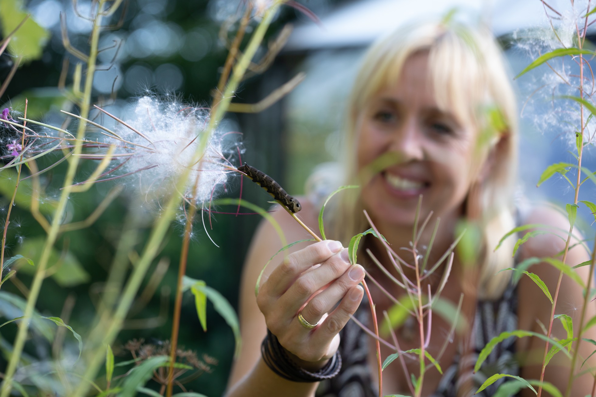 Gederams gav gevinst - Naturmagasinet